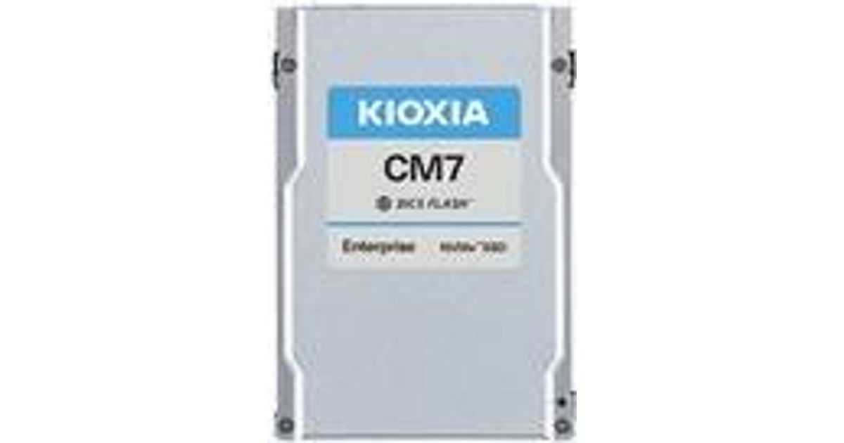 KIOXIA CM7-V Series - SSD - Enterprise, Mixed Use - 1600 GB - intern ...