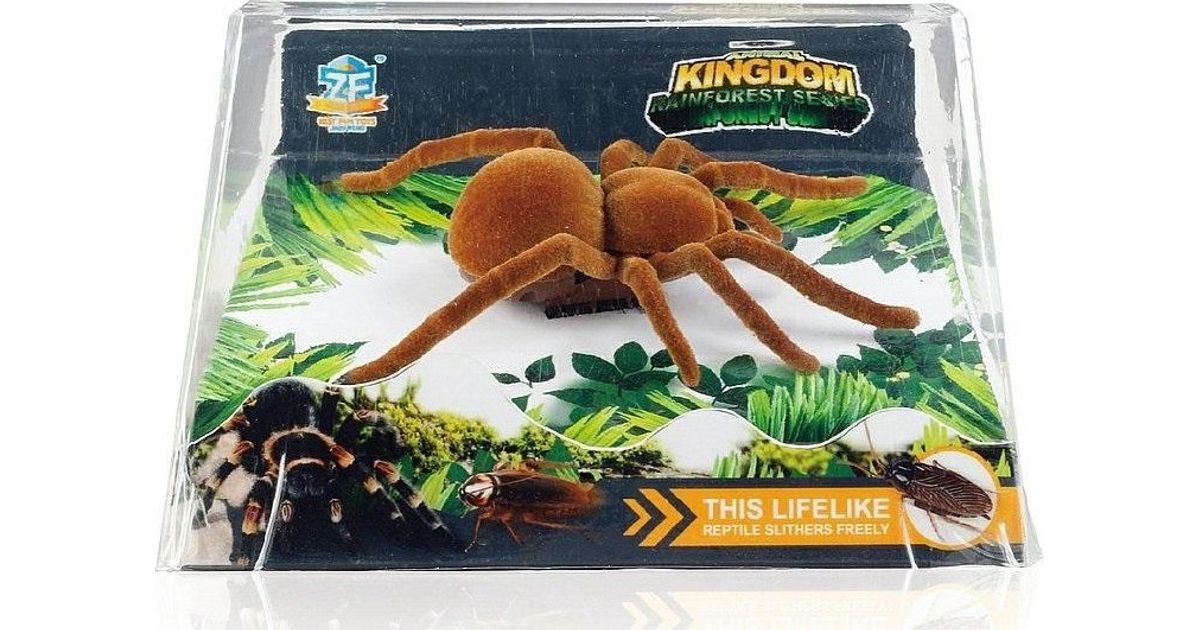 The battery spider is walking, Edukamp vibrates - Interactive toys ...